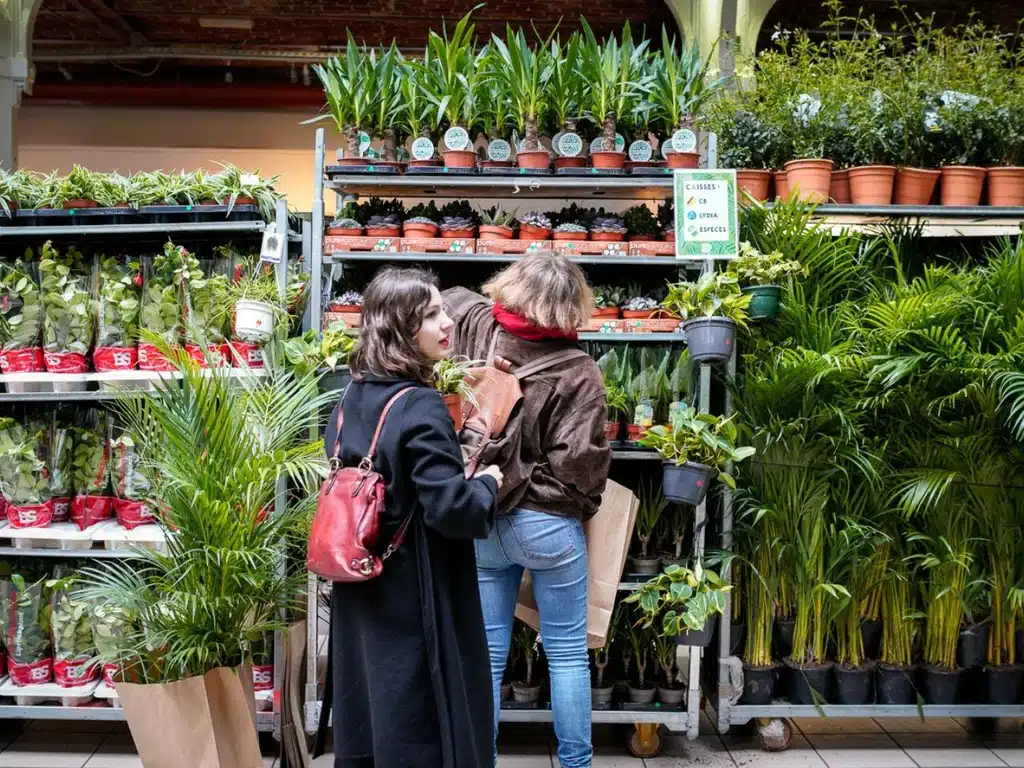 Plantes Pour Tous revient à Nice pour le plus grand bonheur des ... Plantes Pour Tous revient à Nice pour le plus grand bonheur des ...